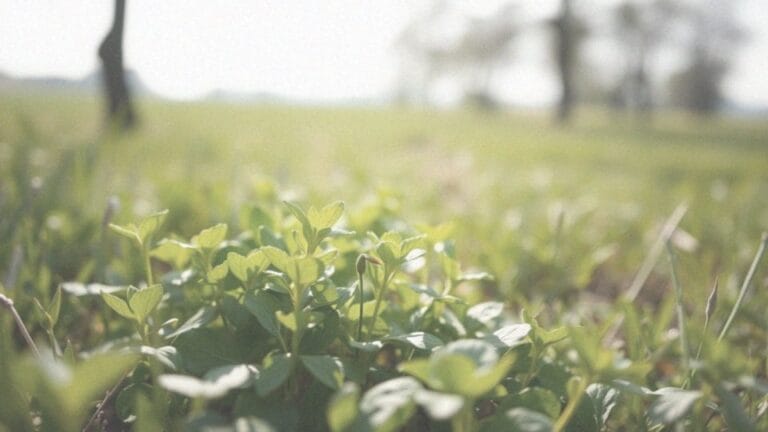 Jak wygląda lebioda? Cechy, zastosowanie i właściwości